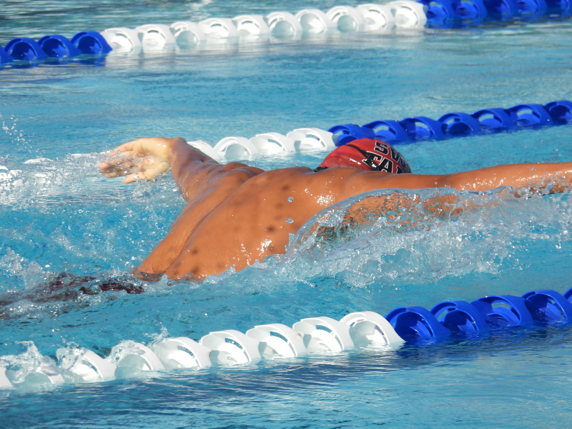 Swim Tampa Aquatics Home