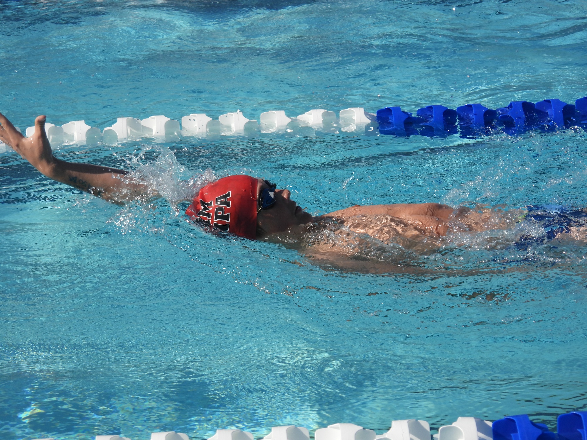 Swim Tampa Aquatics Home