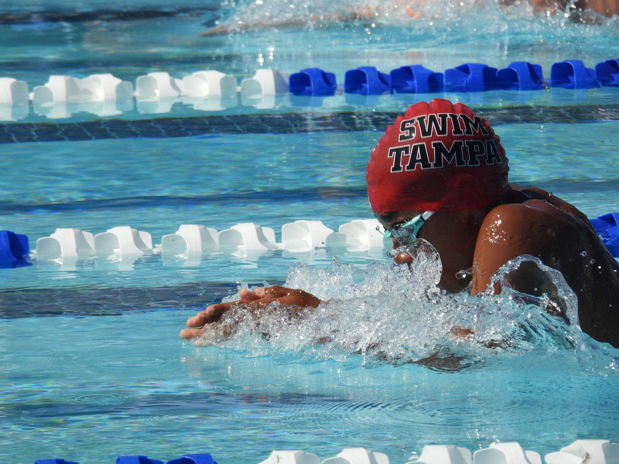 Swim Tampa Aquatics Home